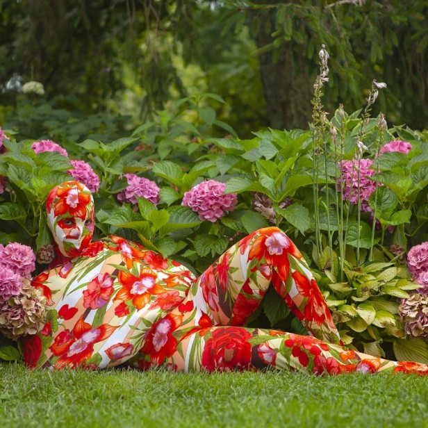 Programs - BlackStar